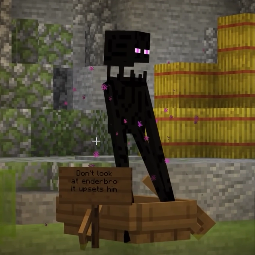 Enderbro | Hermitcraft Wiki | Fandom