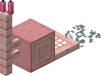 Snails | Hermitcraft Wiki | Fandom