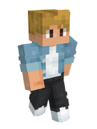 SolidarityGaming | Hermitcraft Wiki | Fandom