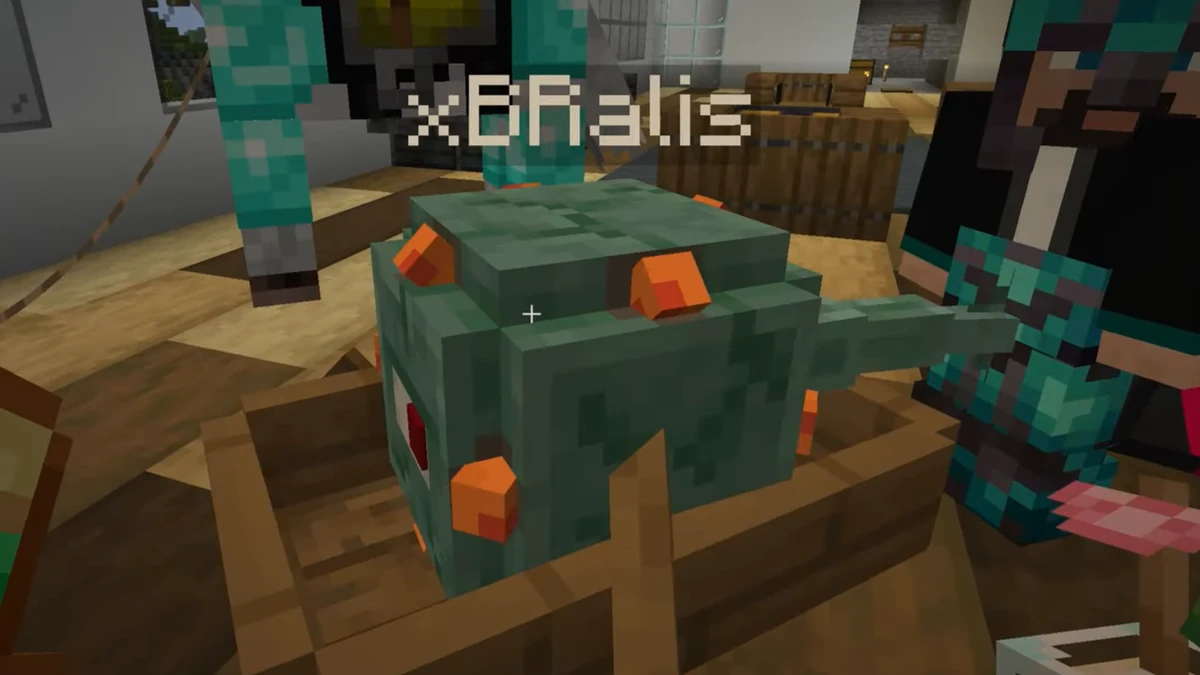 xBRalis | Hermitcraft Wiki | Fandom