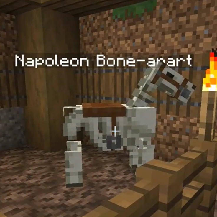 Napoleon Bone-apart | Hermitcraft Wiki | Fandom