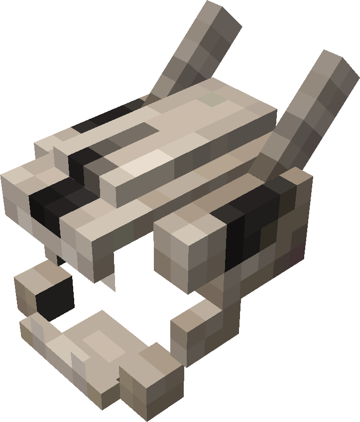 Bone Mage's Helm | Hermitcraft Wiki | Fandom
