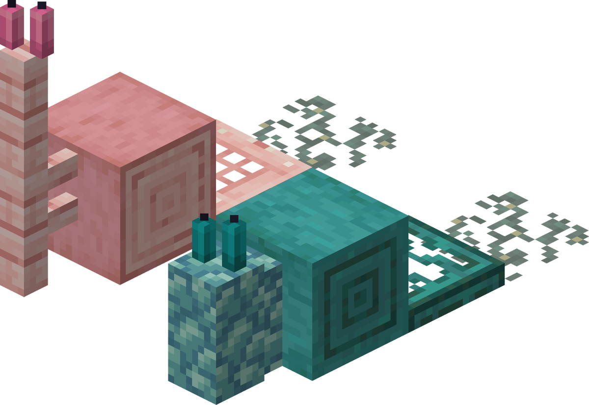 Snails | Hermitcraft Wiki | Fandom