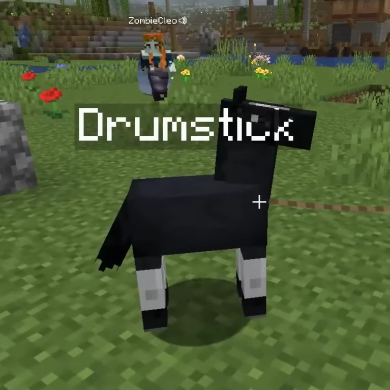 Drumstick | Hermitcraft Wiki | Fandom