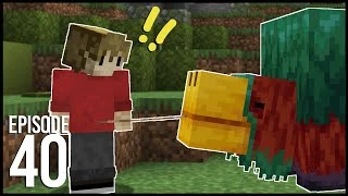 Grian's Season 9: Episode 40 | Hermitcraft Wiki | Fandom