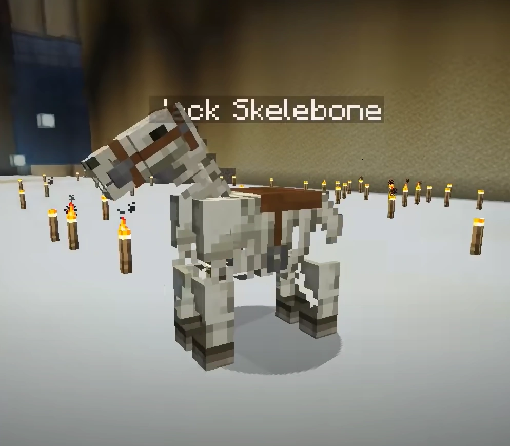 Jack Skelebone (II) | Hermitcraft Wiki | Fandom