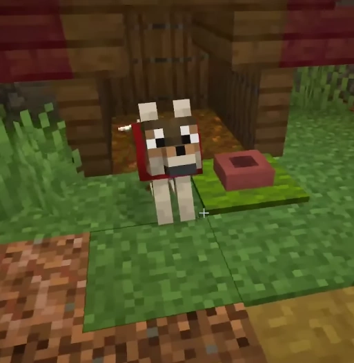 Bone Jovi | Hermitcraft Wiki | Fandom
