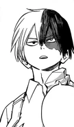 Shoto Todoroki | Boku no Hero Academia Wiki | Fandom