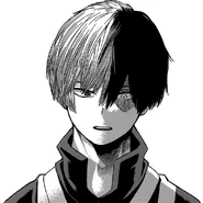 Shoto Todoroki | Boku no Hero Academia Wiki | Fandom