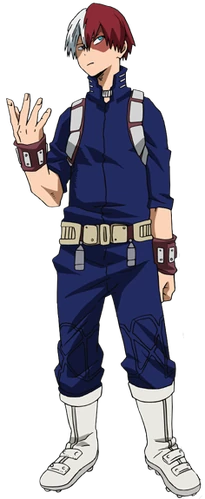 Shoto Todoroki | Boku no Hero Academia Wiki | Fandom