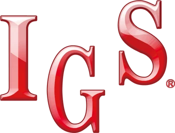 International Games System | Hero of Robots Wiki | Fandom