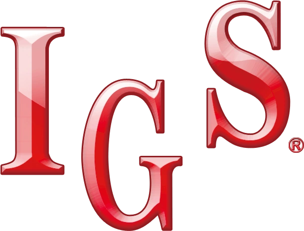 International Games System | Hero of Robots Wiki | Fandom