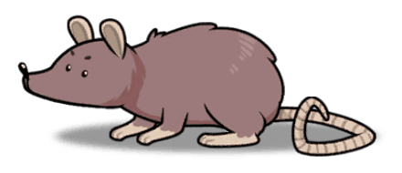 Rat | Hero Tale - Idle RPG Wiki | Fandom