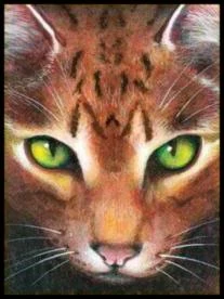 Bramblestar | Hero Wiki | Fandom