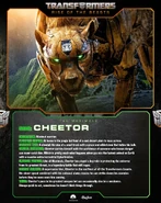 Cheetor (Transformers Reboot Films) | Heroes and Villains Wiki | Fandom