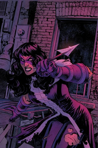Huntress (Helena Bertinelli) | Heroes and Villains Wiki | Fandom