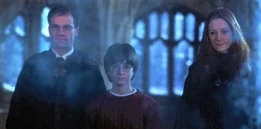 Harry Potter/Relationships | Heroes and Villains Wiki | Fandom