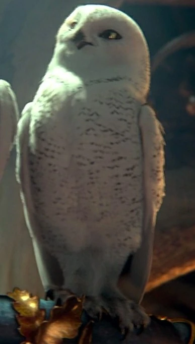 Barran | Heroes and Villains Wiki | Fandom