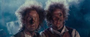 Pippin Took | Heroes and Villains Wiki | Fandom
