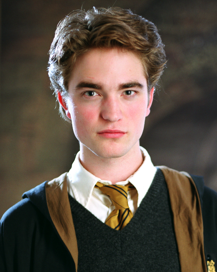 Cedric Diggory | Heroes and Villains Wiki | Fandom