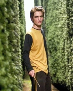 Cedric Diggory | Heroes and Villains Wiki | Fandom