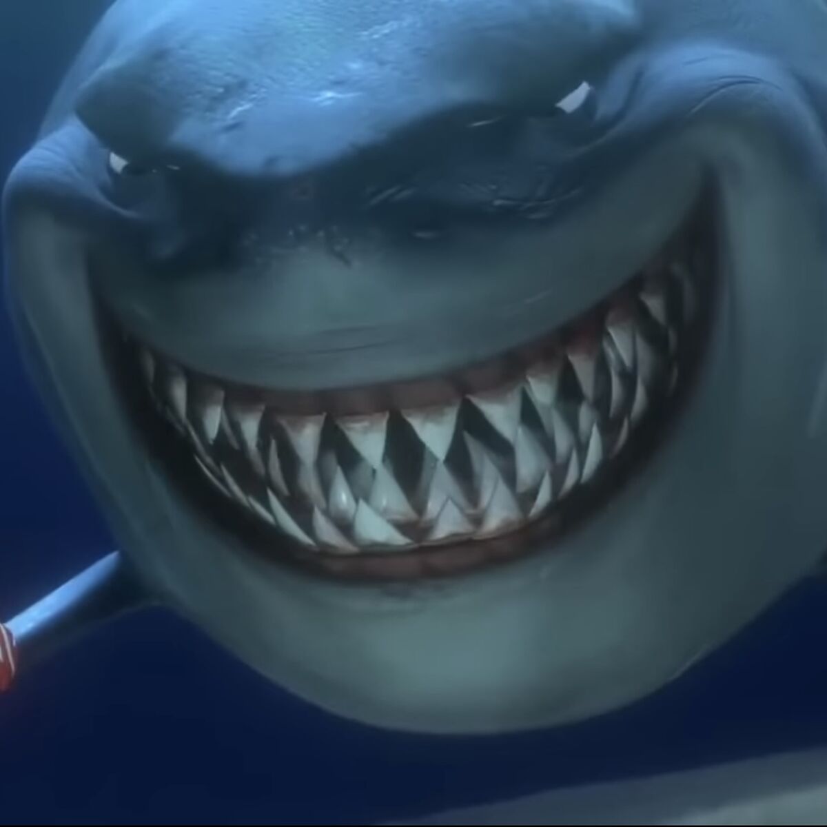 Bruce Finding Nemo Heroes and Villains Wiki Fandom