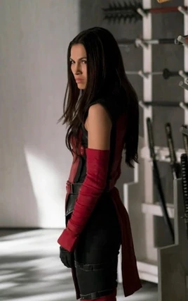 Elektra (Marvel Cinematic Universe) | Heroes and Villains Wiki | Fandom