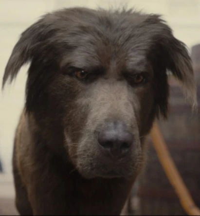 Isaac (Lady and the Tramp 2019) | Heroes and Villains Wiki | Fandom