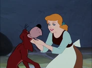 Bruno (Cinderella) | Heroes and Villains Wiki | Fandom