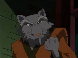 Splinter (TMNT 2003) | Heroes and Villains Wiki | Fandom