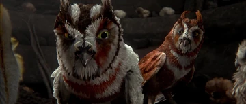 jutt guardians of gahoole coloring pages