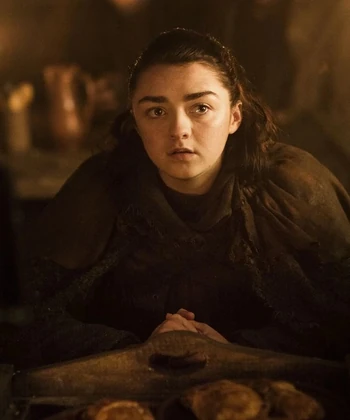 Arya Stark | Heroes and Villains Wiki | Fandom