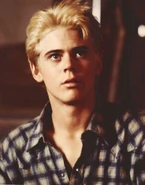 Ponyboy Curtis | Heroes and Villains Wiki | Fandom