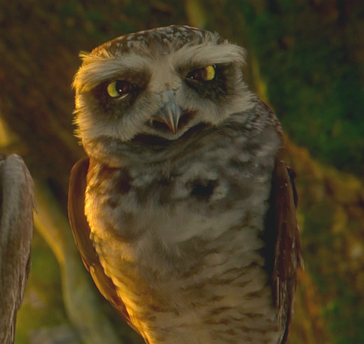 Dewlap | Heroes and Villains Wiki | Fandom