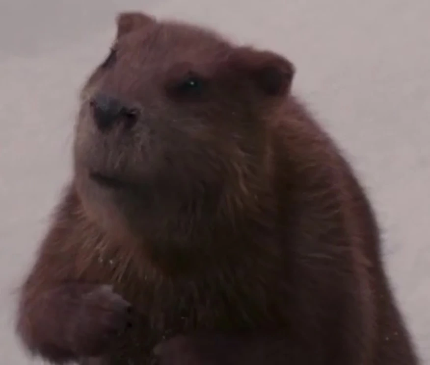 Mr. Beaver | Heroes and Villains Wiki | Fandom