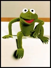 Robin the Frog | Heroes and Villains Wiki | Fandom