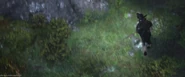 Angus (Brave) | Heroes and Villains Wiki | Fandom