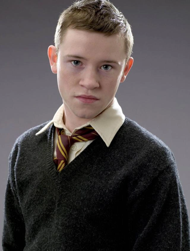Seamus Finnigan | Heroes and Villains Wiki | Fandom