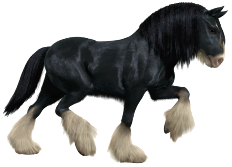 Angus (Brave) | Heroes and Villains Wiki | Fandom