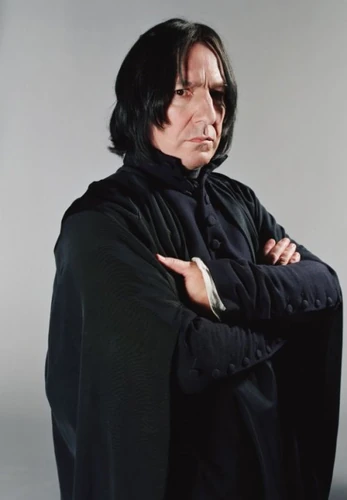 Severus Snape | Heroes and Villains Wiki | Fandom