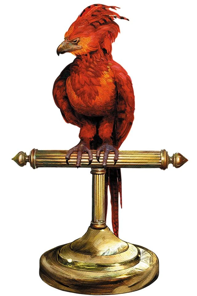 Fox The Phoenix Harry Potter