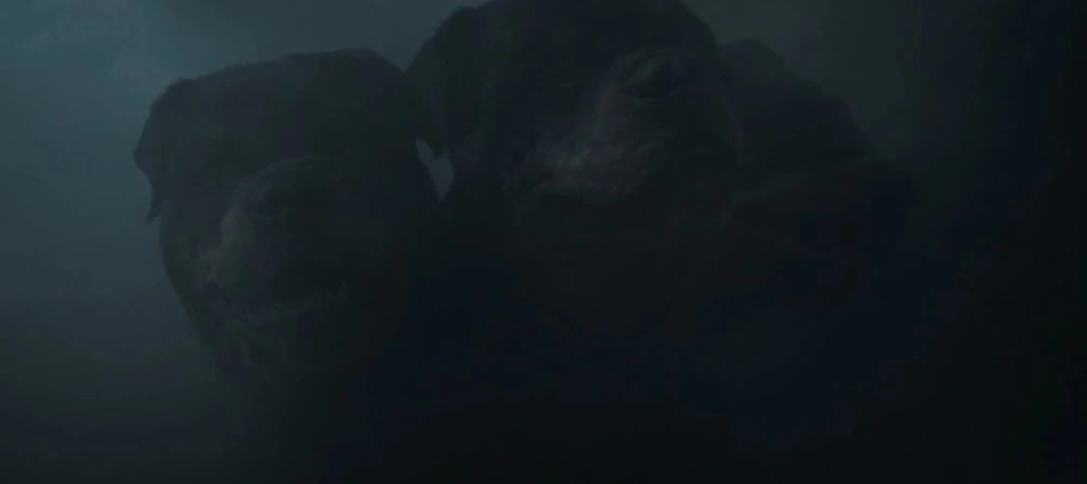 Cerberus (Percy Jackson TV Series) | Heroes and Villains Wiki | Fandom