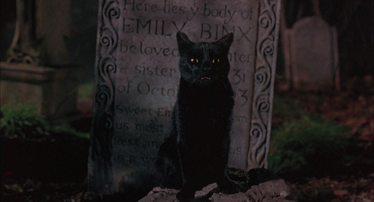 Thackery Binx Heroes And Villains Wiki Fandom