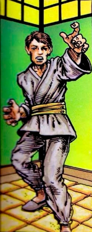 Hamato Yoshi (Mirage) | Heroes and Villains Wiki | Fandom