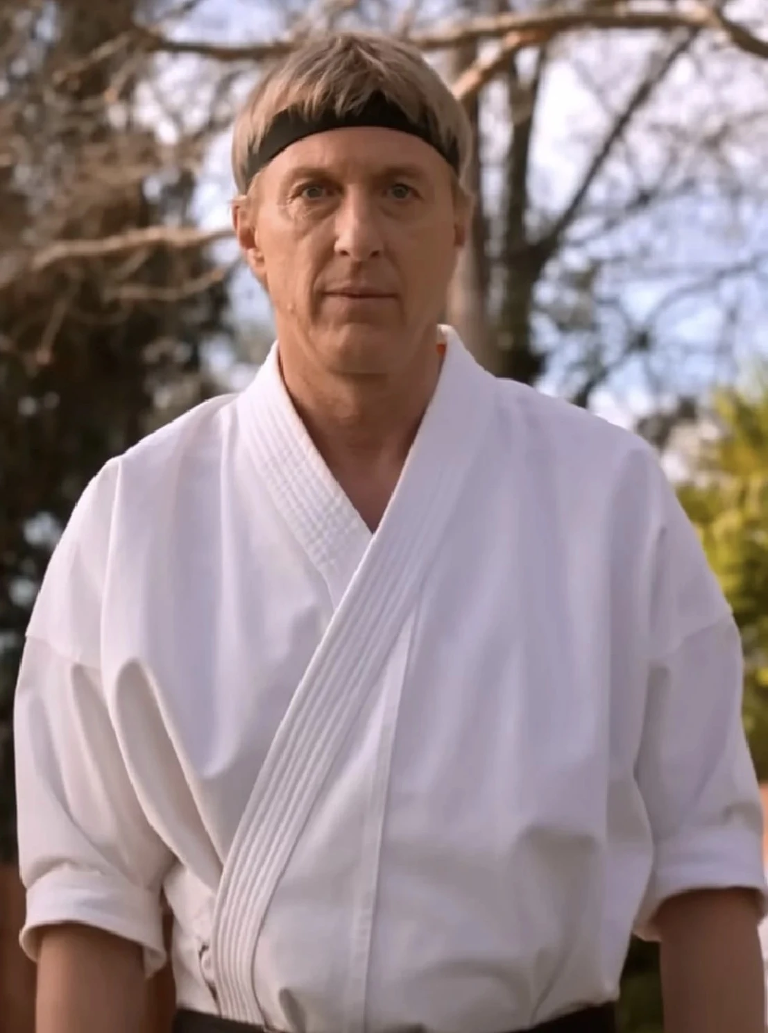 Johnny Lawrence | Heroes and Villains Wiki | Fandom