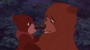 Koda and Kenai | Heroes and Villains Wiki | Fandom