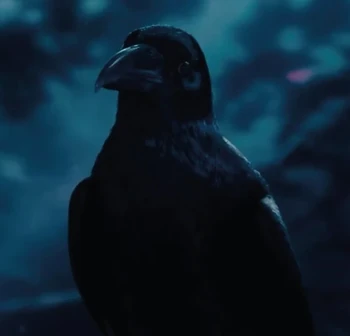 Diaval | Heroes and Villains Wiki | Fandom