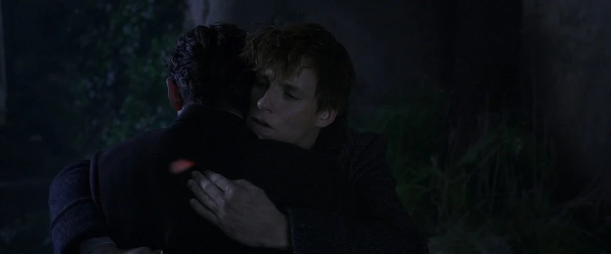 Newt Scamander/Relationships | Heroes and Villains Wiki | Fandom