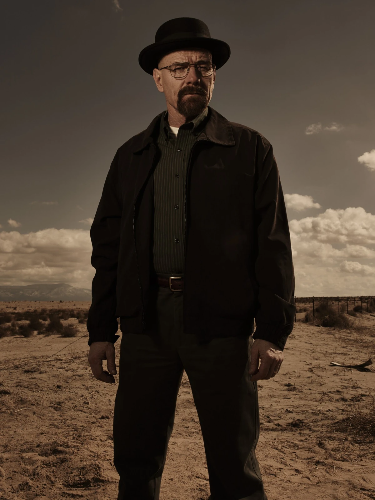 Walter White | Heroes and Villains Wiki | Fandom