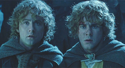 Pippin Took/Relationships | Heroes and Villains Wiki | Fandom